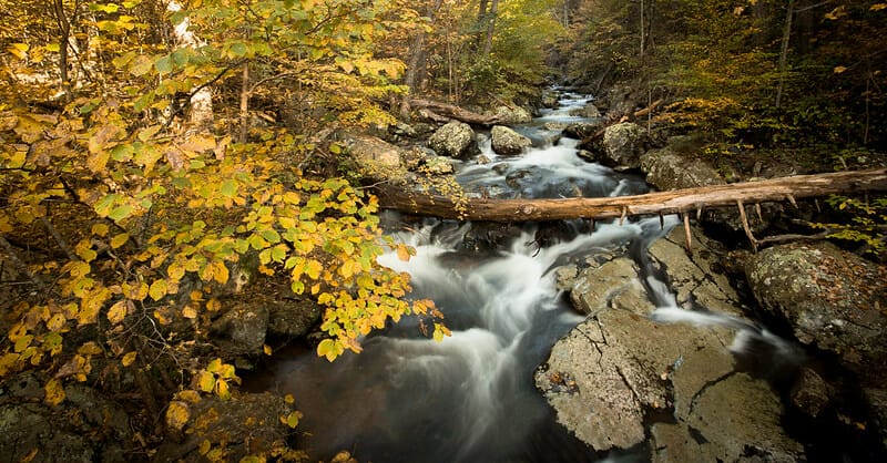 15 Gorgeous Virginia Waterfalls (must-visit) - Happy To Be Virginia