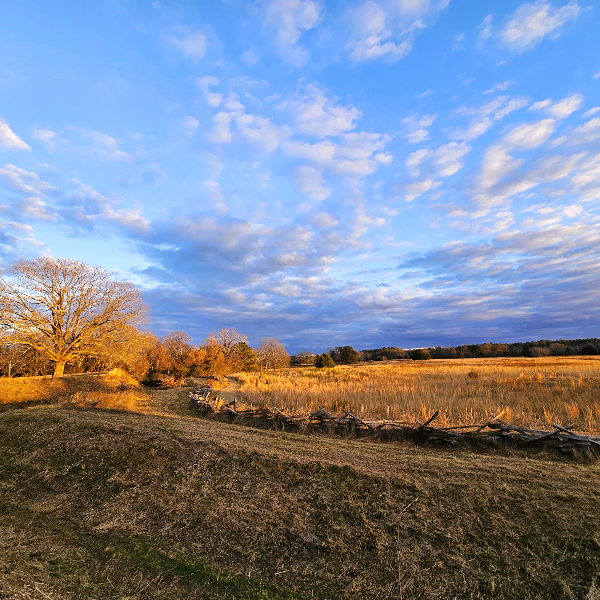 23 Best Things to Do in Williamsburg, Virginia: the ultimate guide ...